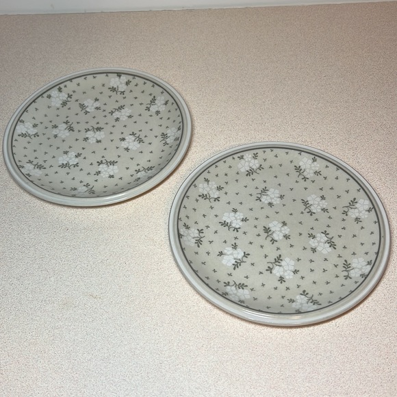 Regency | Dining | Vintage Regency Stoneware Plates | Poshmark